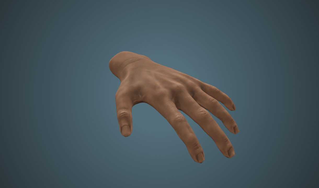 Realistic Hand - Free 3D Model By J-Toastie - Poly Pizza