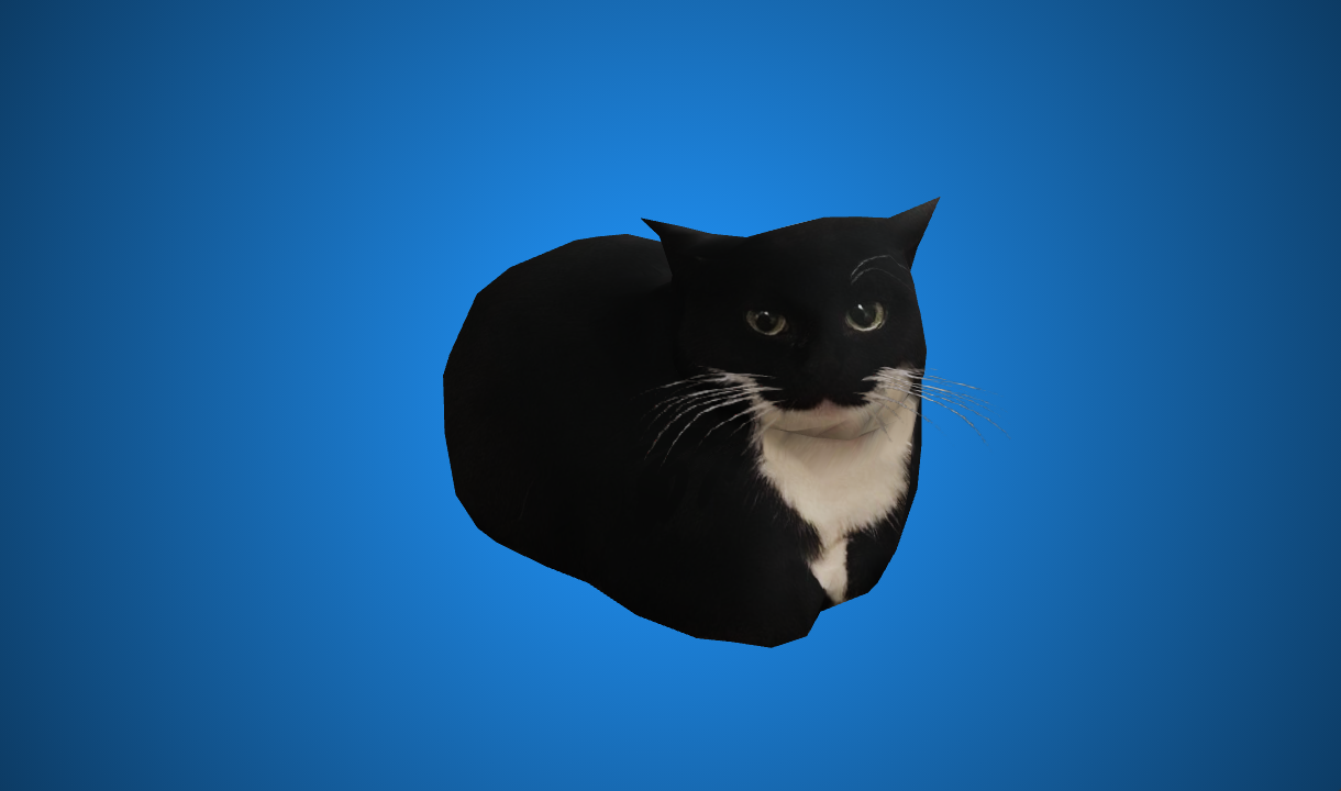 Dingus The Cat Free 3D Model By Alwayshasbean Poly Pizza