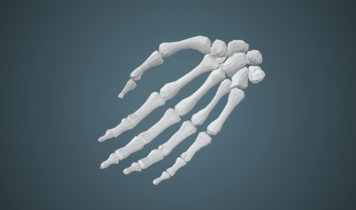 Skeletal Hand - Free 3D Model By Jeremy Swan - Poly Pizza